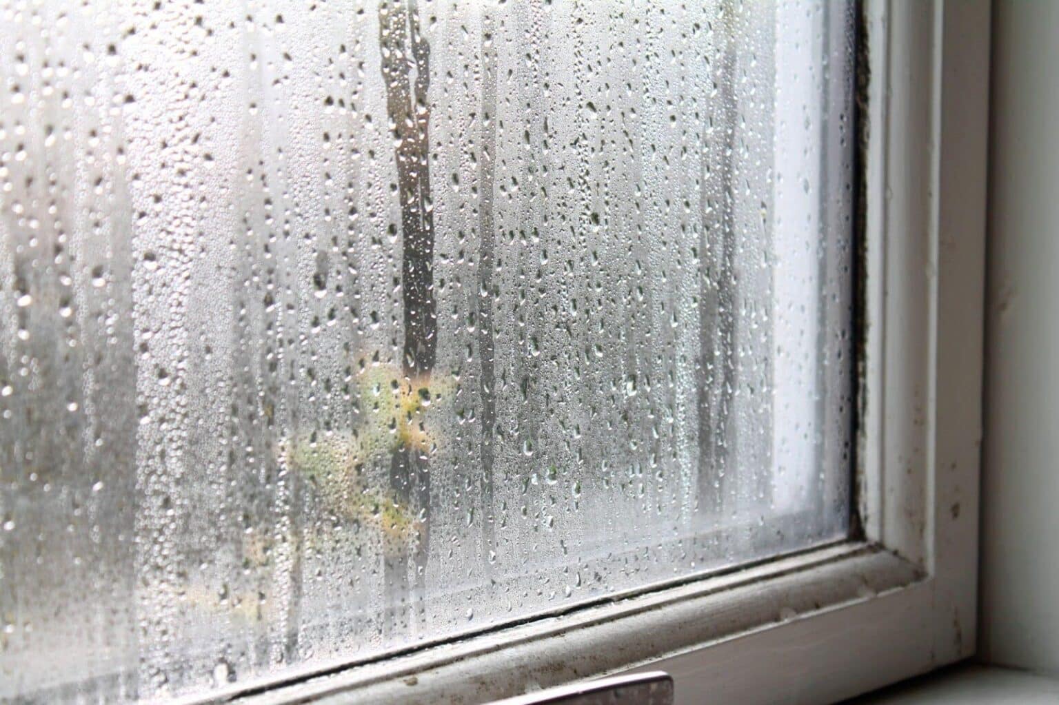 Foggy Windows: Causes and Solutions | Murray Glass