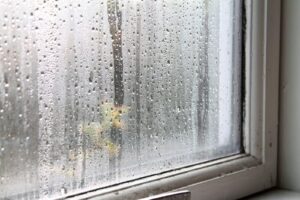 Foggy Windows: Causes and Solutions | Murray Glass
