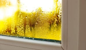 What is Causing Foggy Windows and What You Can Do?